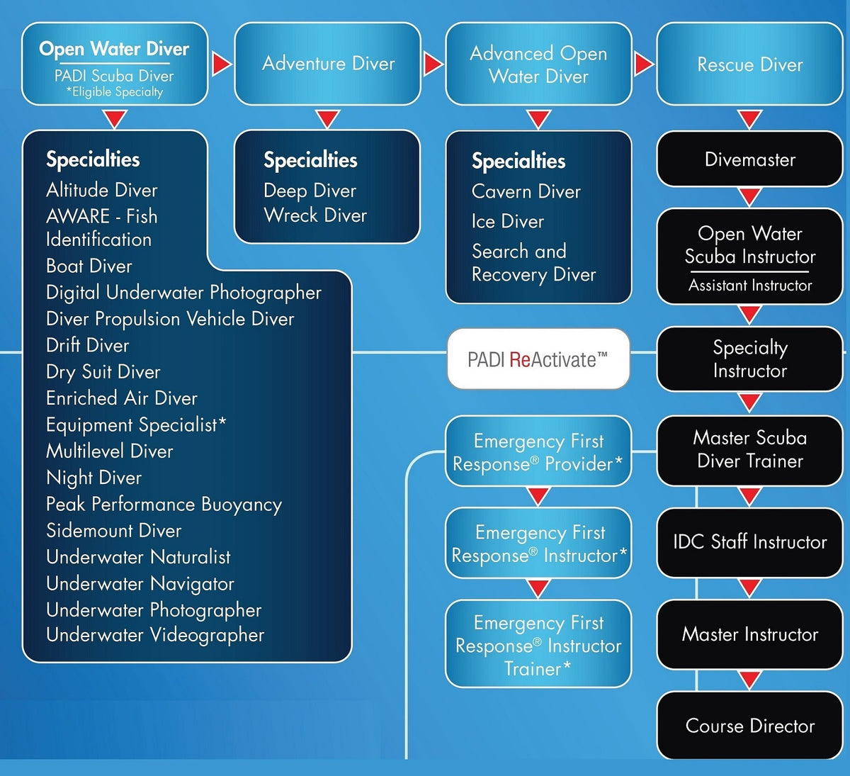 PADI SCUBA Diver Course – Extreme Watersports